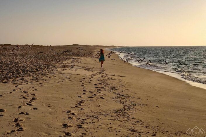 Ilha da Culatra: 3 praias de sonho na Ria Formosa