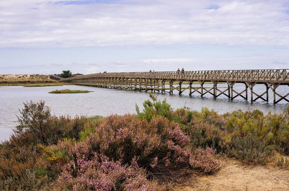 Faro: praias e o que visitar na capital do Algarve - Viagens à Solta